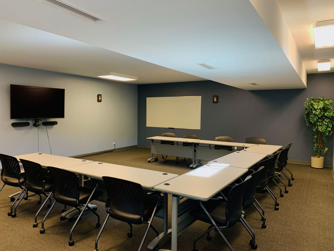 WordPress Web Design in Fernie BC | Wigwam Media - Video Conferencing ...